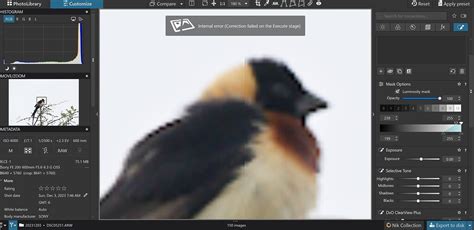 anyone else experiencing internal error when using local adjustments