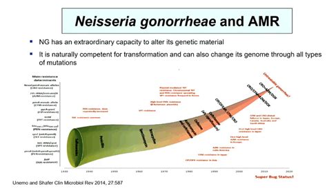 Doxycycline Post Exposure Prophylaxis For STIs Time For Implementation