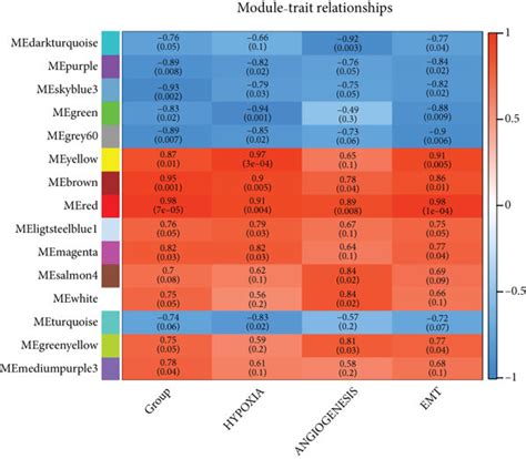 Weighted Gene Coexpression Network Analysis Wgcna Results A Sample