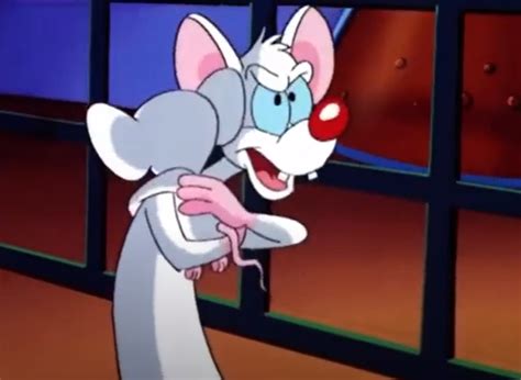 Best 10 Pinky And The Brain Original Production Cel Pinky Brain Artofit