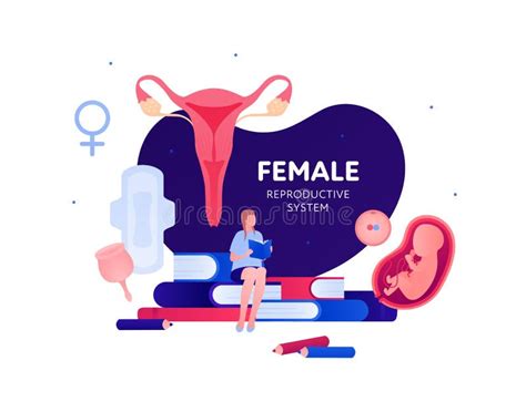 Sex Education Reproductive System Biology Class Concept Vector Flat