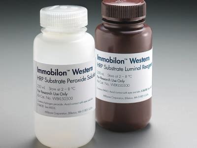 Labcompare Product Review ECL Substrate Kit Labcompare Com