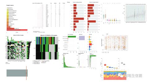 maftools 一键复现tcga肿瘤突变数据分析和可视化 tcga数据用maftools csdn博客