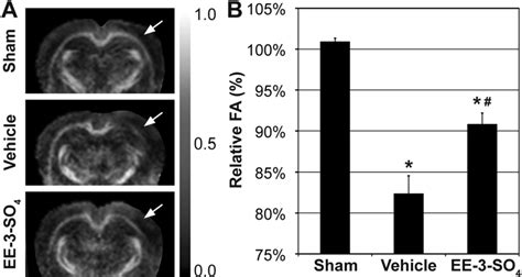 Dai Assessed By Fa Mapping A Representative Fa Maps Of Sham Download Scientific Diagram
