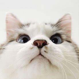 Product Performance Full CGI On Behance