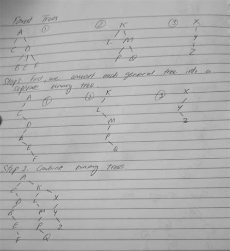 7 give the binary tree representation of the following trees in the