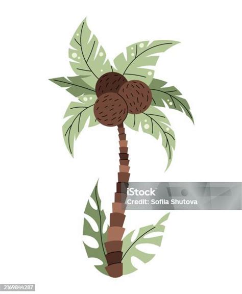 만화 야자수 와 코코넛 와 고립된 배경 와 플랫 스타일의 열대 나무 사파리 컬렉션 옷 직물 인사말 카드 스티커 등에 대한 벡터 일러스트 레이 션 개념에 대한 스톡 벡터 아트