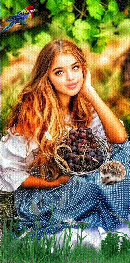 Animated  In S Collection By Carmen Reif Beautiful Nature