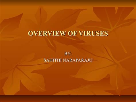 Constants Variables And Datatypes In C Ppt