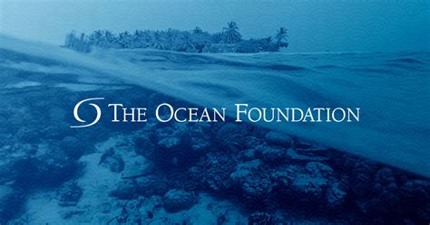 Ocean Conservation Projects The Ocean Foundation