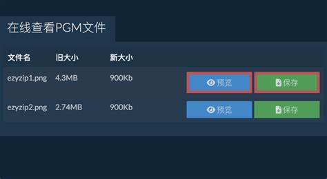 在线pgm图像查看器 预览pgm文件 Ezyzip
