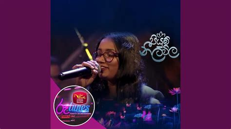 Seth Kaviyak Youtube