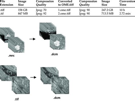 Conversion Of Unrecognized Wsi Image Into Ome Tiff Download
