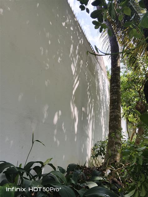 Dilith Jayaweera Added A New Photo Dilith Jayaweera