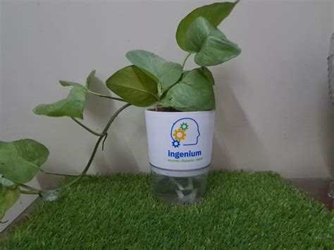 mehak khan on linkedin ilf2024