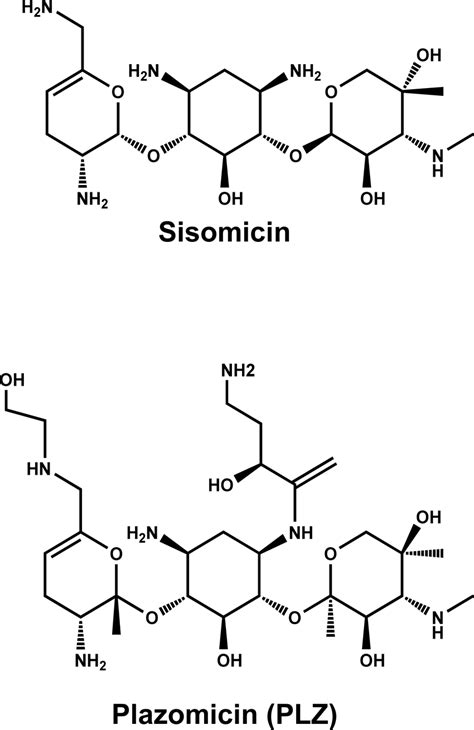 The Chemical Structures Of Sisomicin And Plazomicin Plz Download