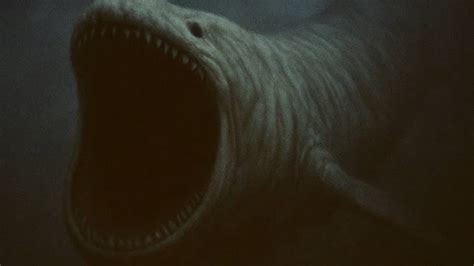 The Bloop Sightings