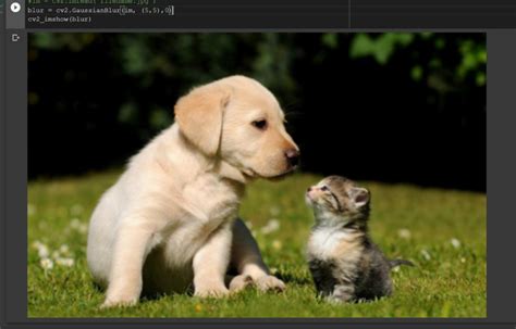 5 ultimate python libraries for image processing towards data science