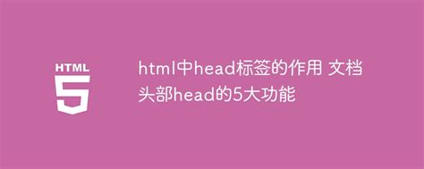 html头标签head没用？这5大功能真香警告！ golang学习网