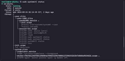 Systemctl命令：从入门到实践，掌握linux服务管理 Csdn博客