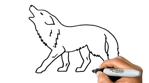 How To Draw A Wolf Easy Wolf Maxresdefault How To Draw A Wolf Drawing