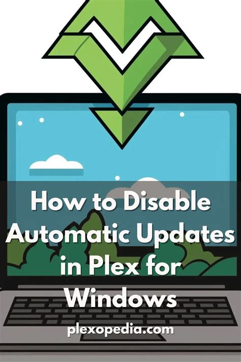 How To Disable Automatic Updates In Plex For Windows Plexopedia