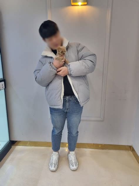 말티푸 초코 토이브리티쉬숏헤어입양 토이스코티쉬폴드입양 토이러시안블루입양 토이강아지입양 토이고양이입양 오드아이먼치킨무료분양 오드아이랙돌무료분양 오드아이브리티쉬숏헤어무료분양