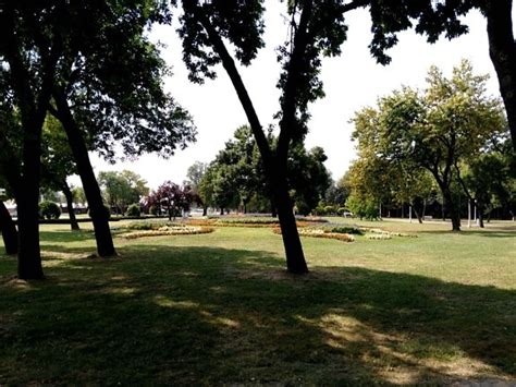 무료 사진 잔디 나무 자연 꽃 정원 조 경 야외 푸른 하늘