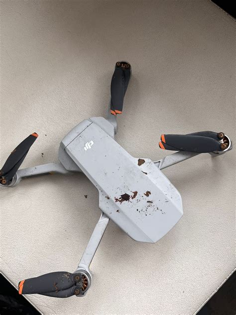 Найден дрон DJI Mavic Mini2, Москва, Серебряный бор | Пикабу