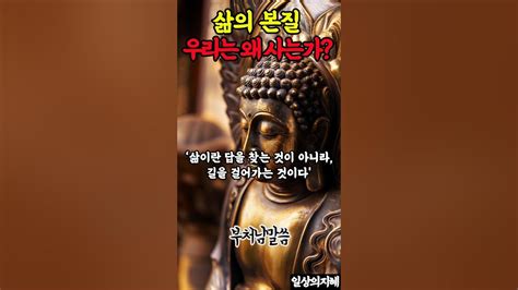 매일부처님말씀 ㅣ 삶의본질 우리는 왜 사는가 부처님말씀 삶의본질 오늘을살아라 불교철학 지혜로운삶 명언 긍정적마인드 긍정의말 좋은글 인생의도전 철학