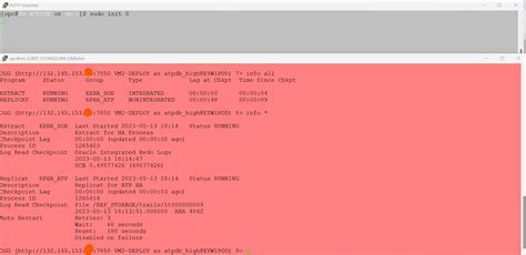 Implement Oracle Goldengate Ha In Oci