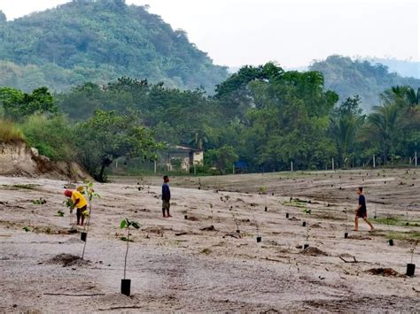Bayanihan Tree Planting Continues At Sapangbato Watershed The Voice Newsweekly
