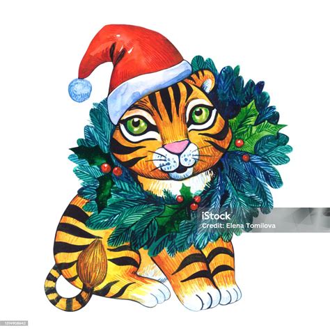 빨간 모자와 크리스마스 화환 새해 축하 요소와 작은 호랑이 새해 2022 기호 수채화 조명 흰색 배경에 격리 된 요소 2022년에 대한 스톡 벡터 아트 및 기타 이미지