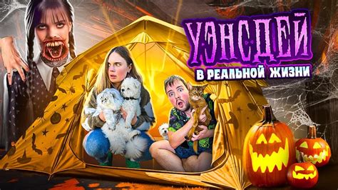 УЭНСДЕЙ В РЕАЛЬНОЙ ЖИЗНИ В НАШЕЙ ПАЛАТКЕ С КОТАМИ В ХЕЛЛОУИН Youtube