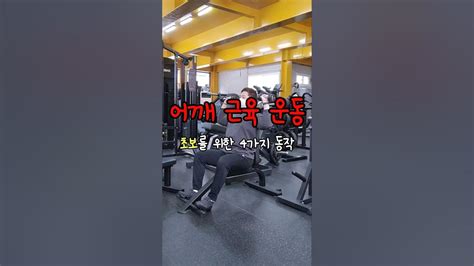 어깨 근육 운동 초보를 위한 4가지 동작 헬스 어깨운동 Youtube