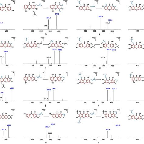 Univariate Experiment Results From The Three Extraction Methods