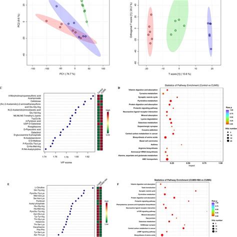 The Diversity And Composition Of Gut Microbiota In Different Groups