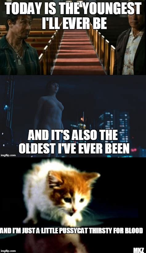 Pussycat Imgflip