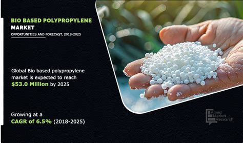 Bio Based Polypropylene Market Size Industry Report 2025