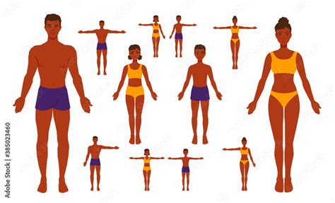 Human Body Anatomy A Man A Woman A Girl A Babe Family In Underwear One Arm Raised Both