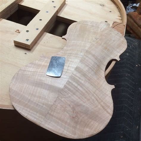5 String Fiddle From Bass Back Five String Fiddles