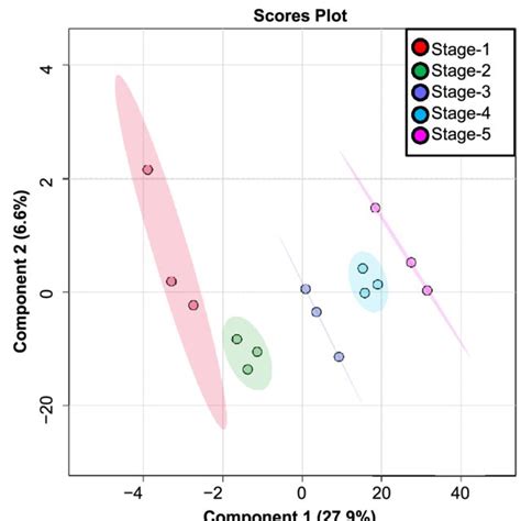 Partial Least Squares Discriminant Analysis Pls Da Of Proteins Among