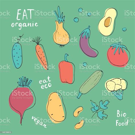 야채 완벽 한 패턴입니다 채식 건강 바이오 식품 배경 비건 유기농 에코 제품 후추 토마토 오이 당근 감자 아보카도 콩 및 완두콩 벡터 그림 0명에 대한 스톡 벡터 아트 및