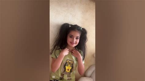 Պոչատ աղվեսը Youtube