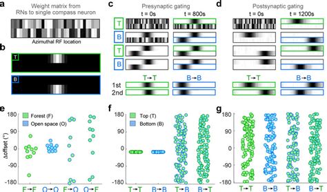 Memory Capacity Of Different Plasticity Rules Ad Simulation Of Pre