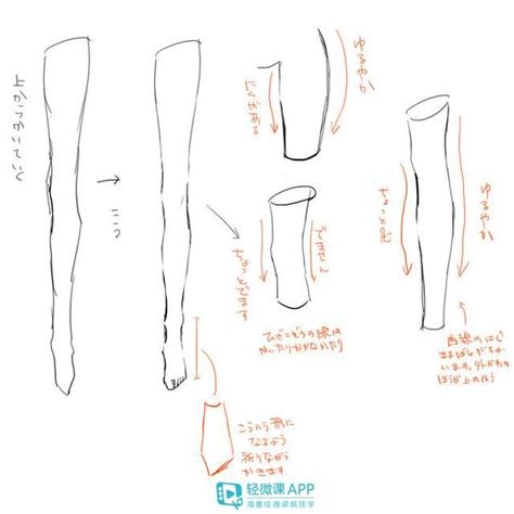 膝盖绘画教程，超详细教你绘画人物膝盖 其他资源 Powered By Discuz