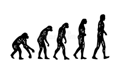 Evolution Drawing Easy