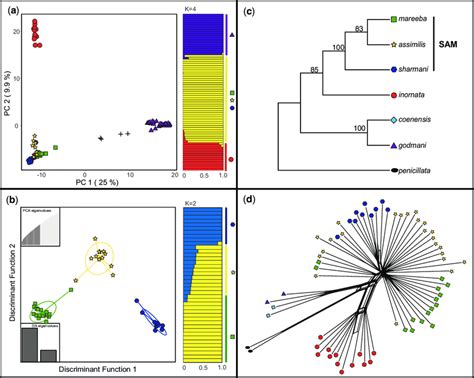 Summary Of Population Genomic A B And Phylogenomic C D Results Download Scientific