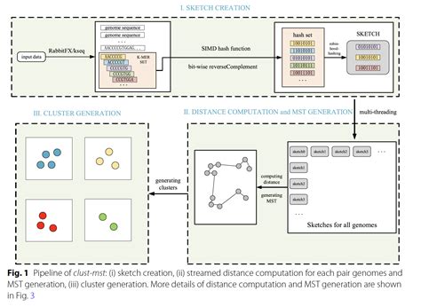 Xiaoming Xu 徐晓明