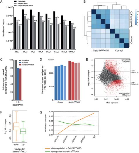 Single Cell RNA Profiling Of Setd1b Gd9 CKO And Control Oocytes A Download Scientific